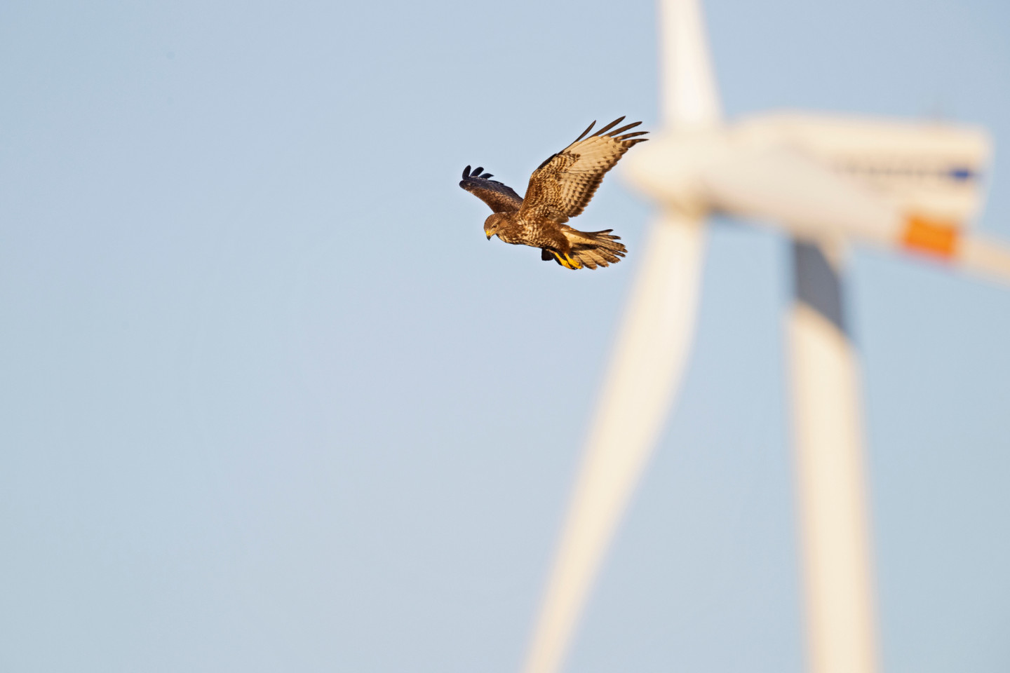 Met Masts and Wind Systems | Reliable Wind Data Collection by ART Group